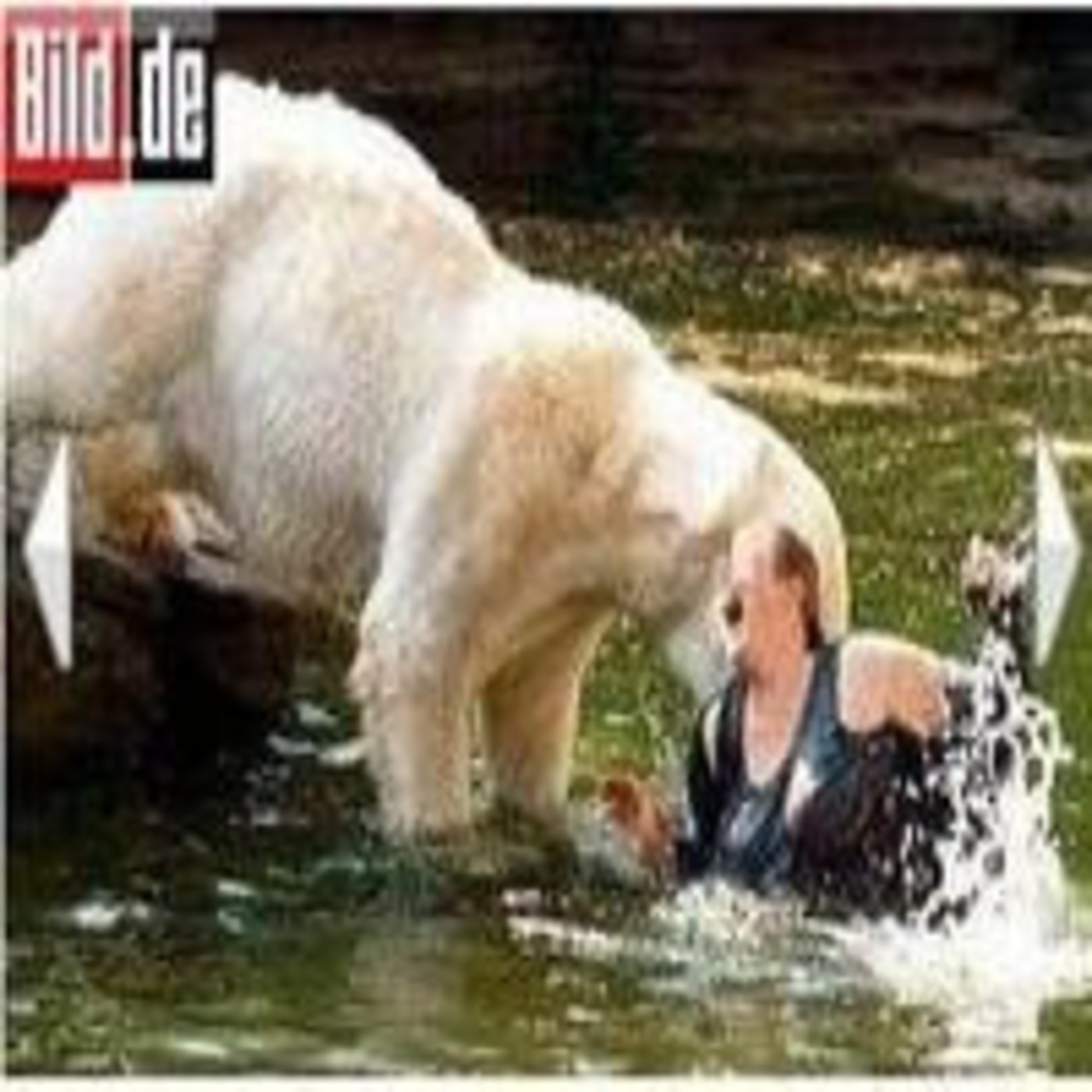 Ataque Animal (1de6) en Audio-documentales en mp3(20/06 a las 15:05:07 ...